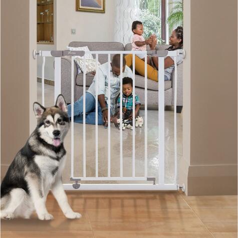 Dreambaby Ava Safety Gate – White