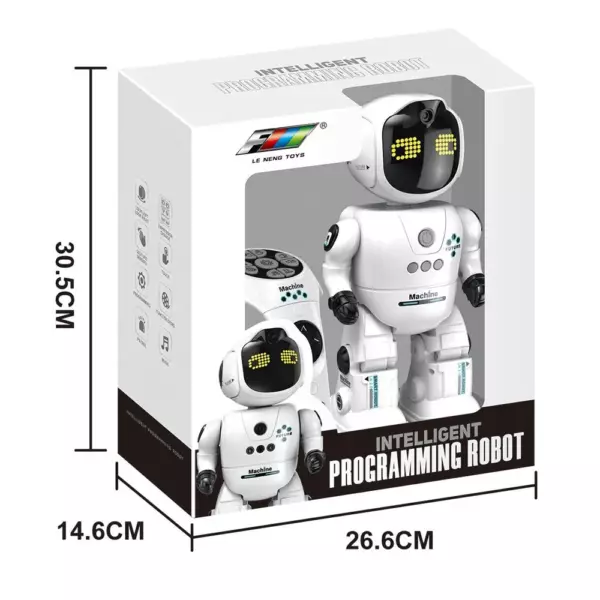 Intelligent Programming Robot